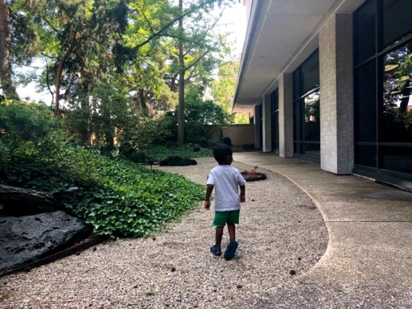 Don’t Judge A Library By Its Cover - At CADL (Capital Area District ...